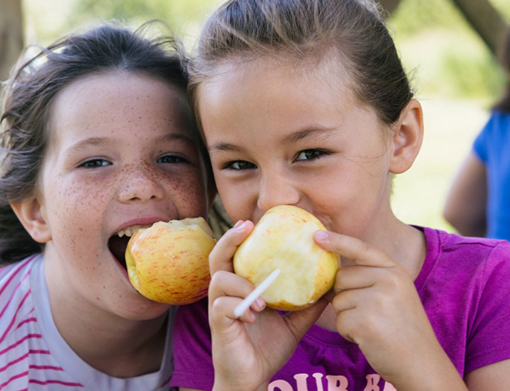 4 easy (and tasty!) recipes using Food Bank staples - Alameda County ...